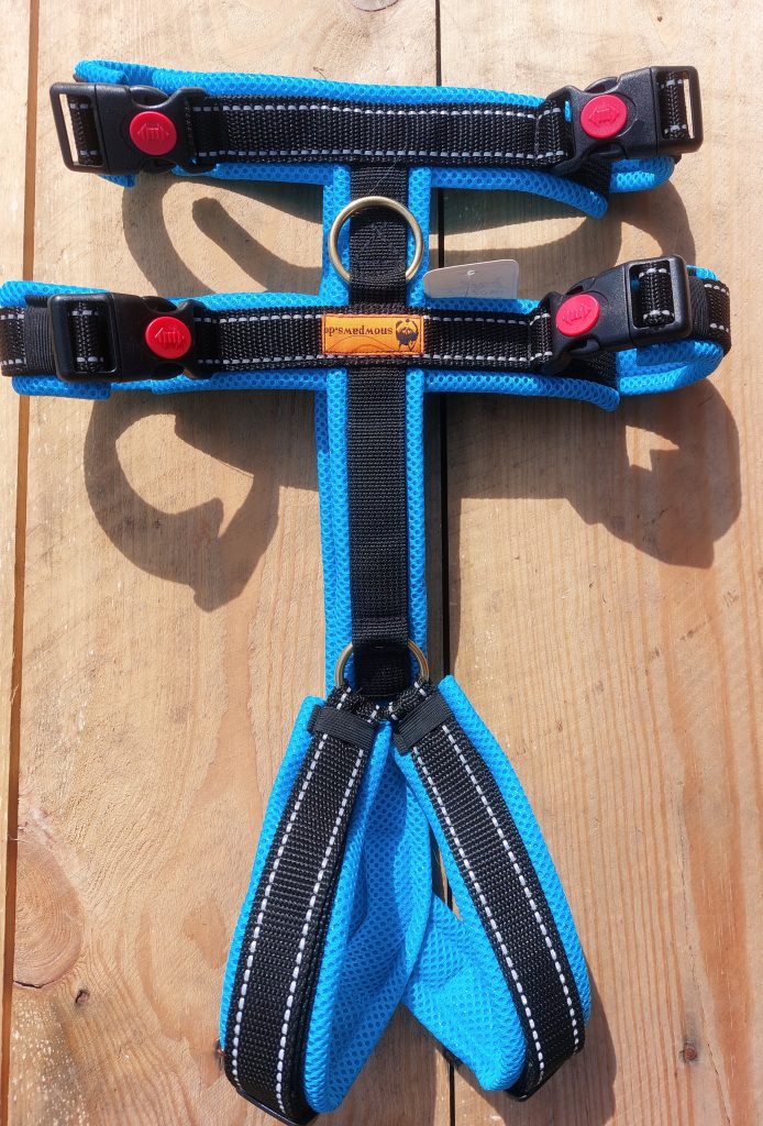 Führgeschirr "Angel Protect" Größe 3 Gurtband schwarz_r / Polster Airmesh türkis / Bauchgurt